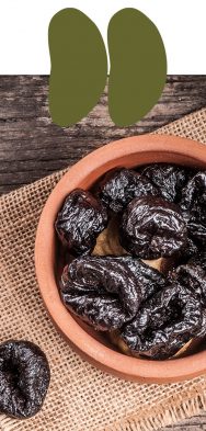 Originia Foods — The SAMCA Group’s agri-food project